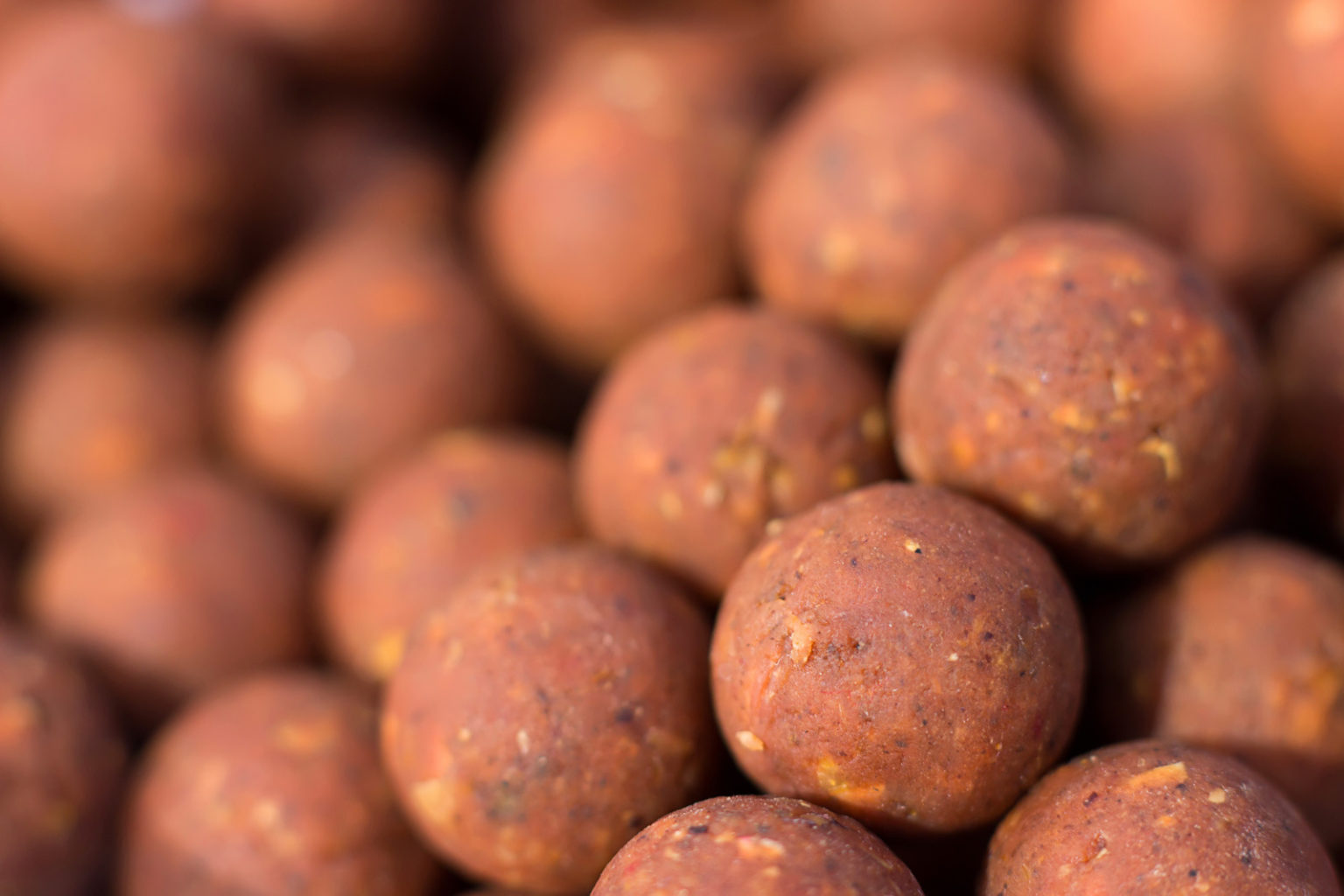 How To Make Boilies For Carp Fishing (Best 2023 Recipe)