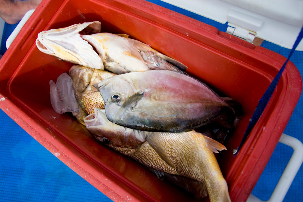 The 8 Best Fishing Coolers In 2023 [Buying Guide] - Fishermen's Angle